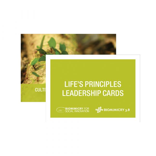 Biomimicry 3.8 Life's Principles Leadership Cards - Biomimicry 3.8