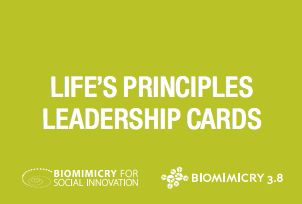 Life’s Principles Leadership Cards - Biomimicry 3.8