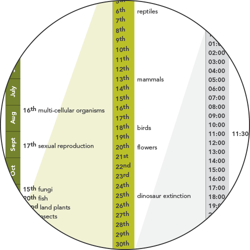 Earth’s Calendar Year - Biomimicry 3.8