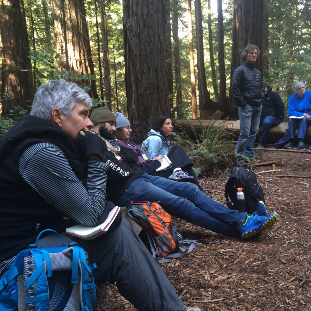 Immersion Workshop | Biomimicry Thinking for Design and Innovation 2023 ...