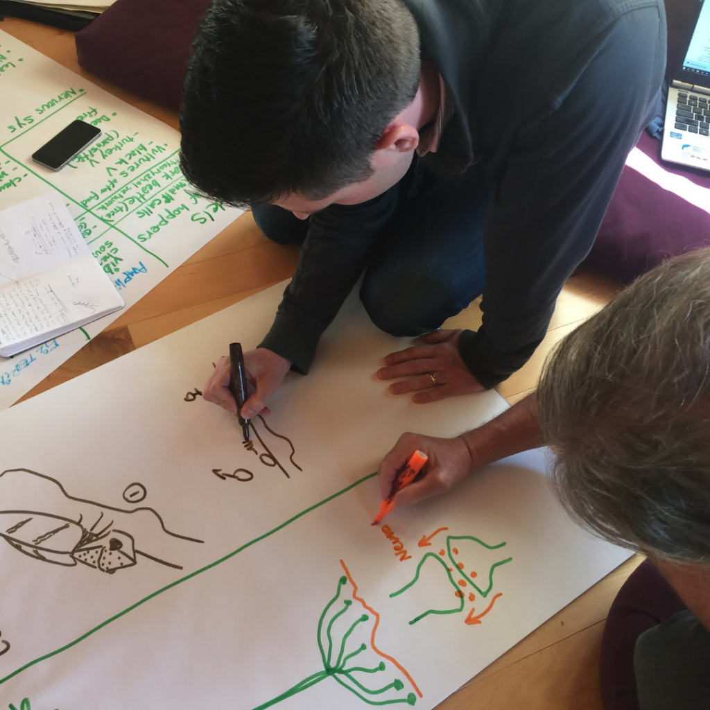 Immersion Workshop | Biomimicry Thinking for Design and Innovation 2023 ...